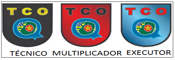 IMPLANTAÇÃO DO TCO NA POLÍCIA MILITAR DE GOIÁS – IBSP